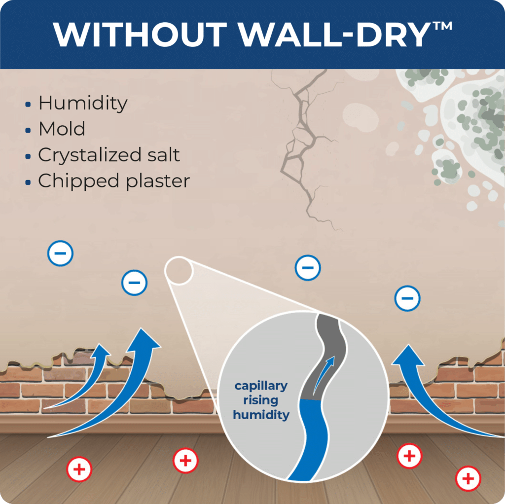 Technology - WALL-DRY